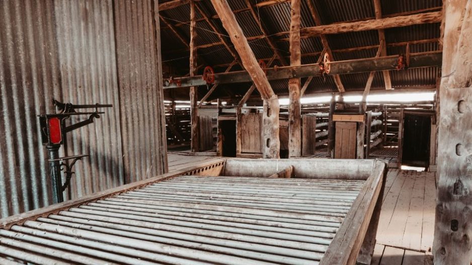 The Evolution of the Australian Shearing Shed | Steel Sheds in Australia