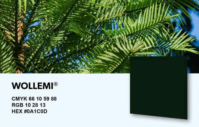 Wollemi® Colorbond Colour | Steel Sheds in Australia